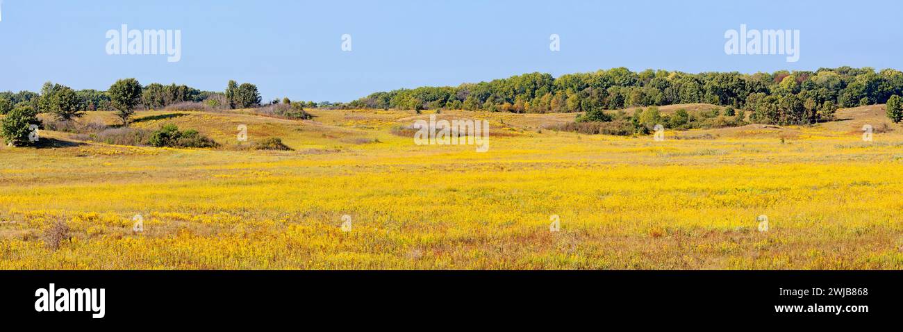 Panoramic view of the golden prairie at Nachusa Grasslands on a sunny ...