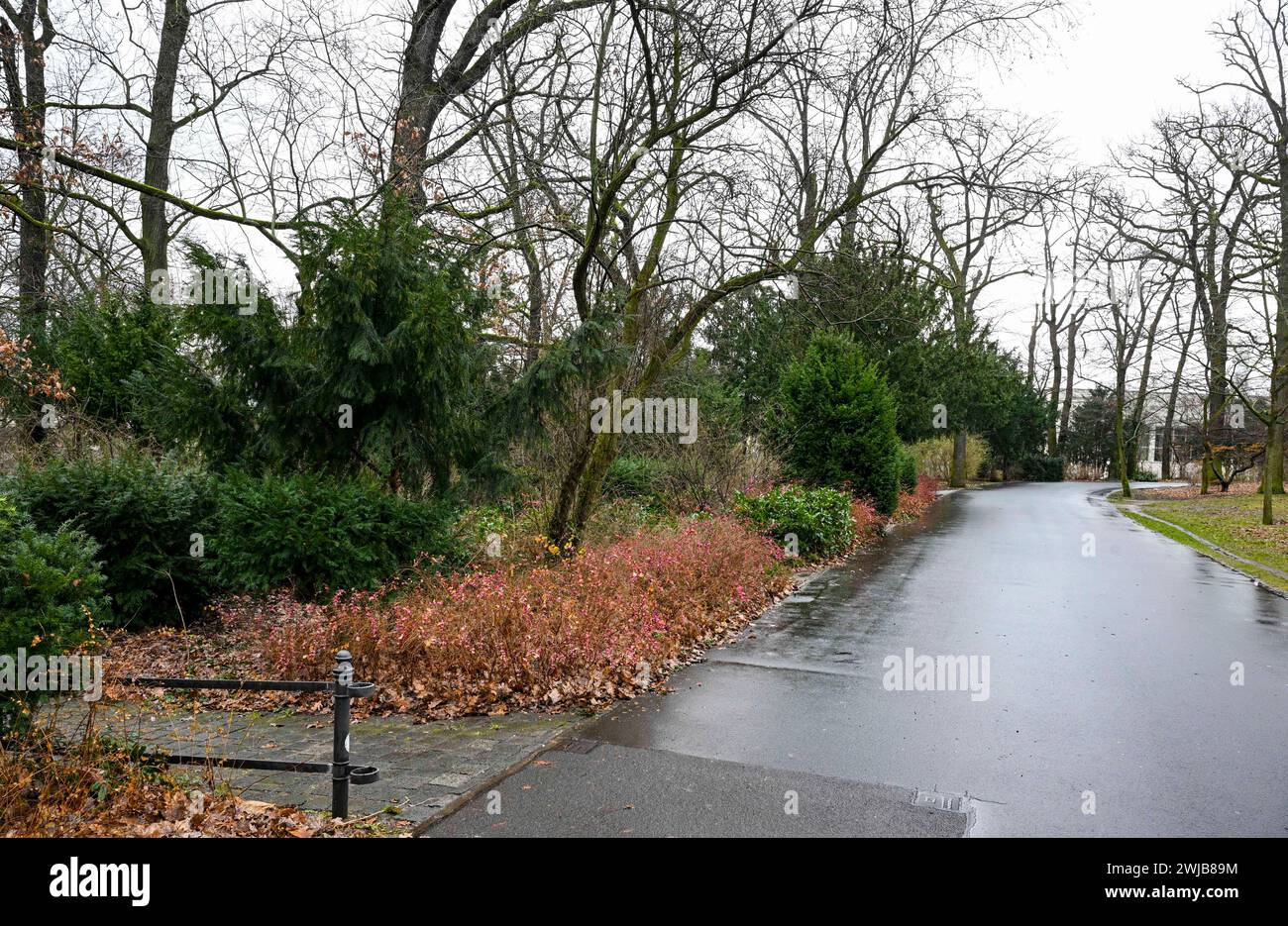 Berlin, Germany. 14th Feb, 2024. View of the Volkspark Hasenheide in ...