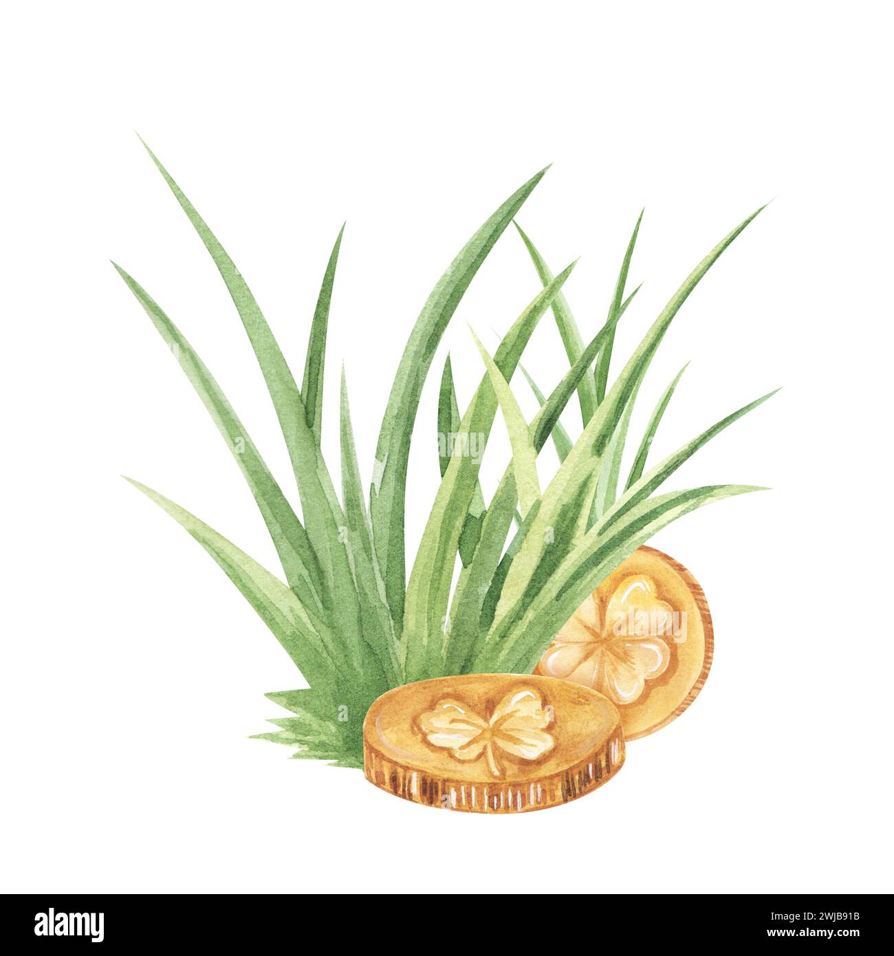 St. Patrick's coins in grass. Had drawn illustration isolated on white ...