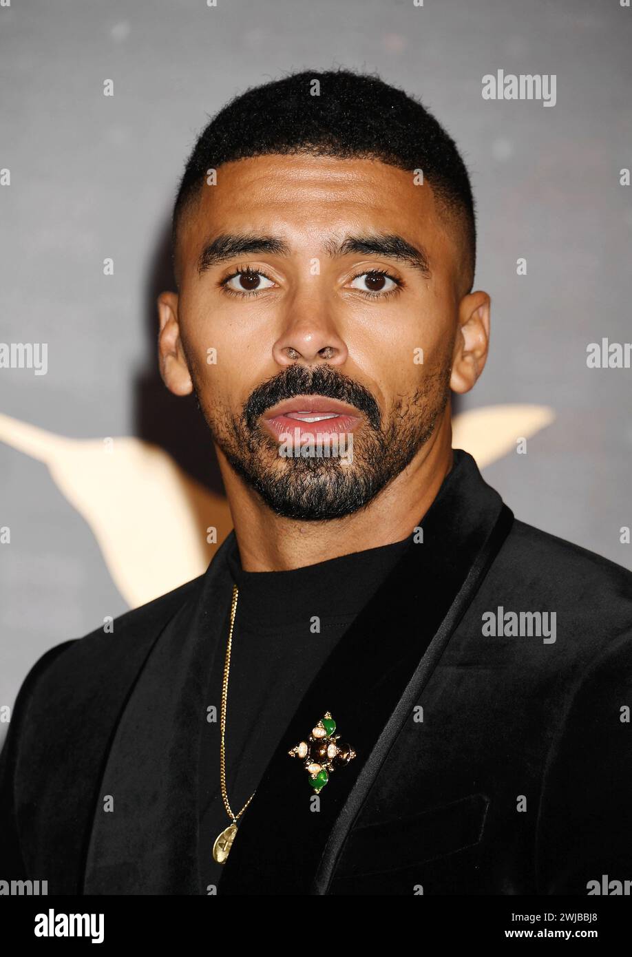 HOLLYWOOD, CALIFORNIA - FEBRUARY 13: Matthew Law attends Los Angeles ...