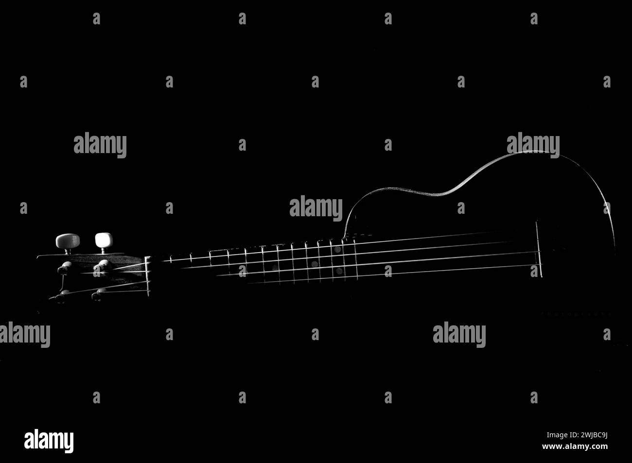 The ukulele musical instrument was photographed against a dark ...