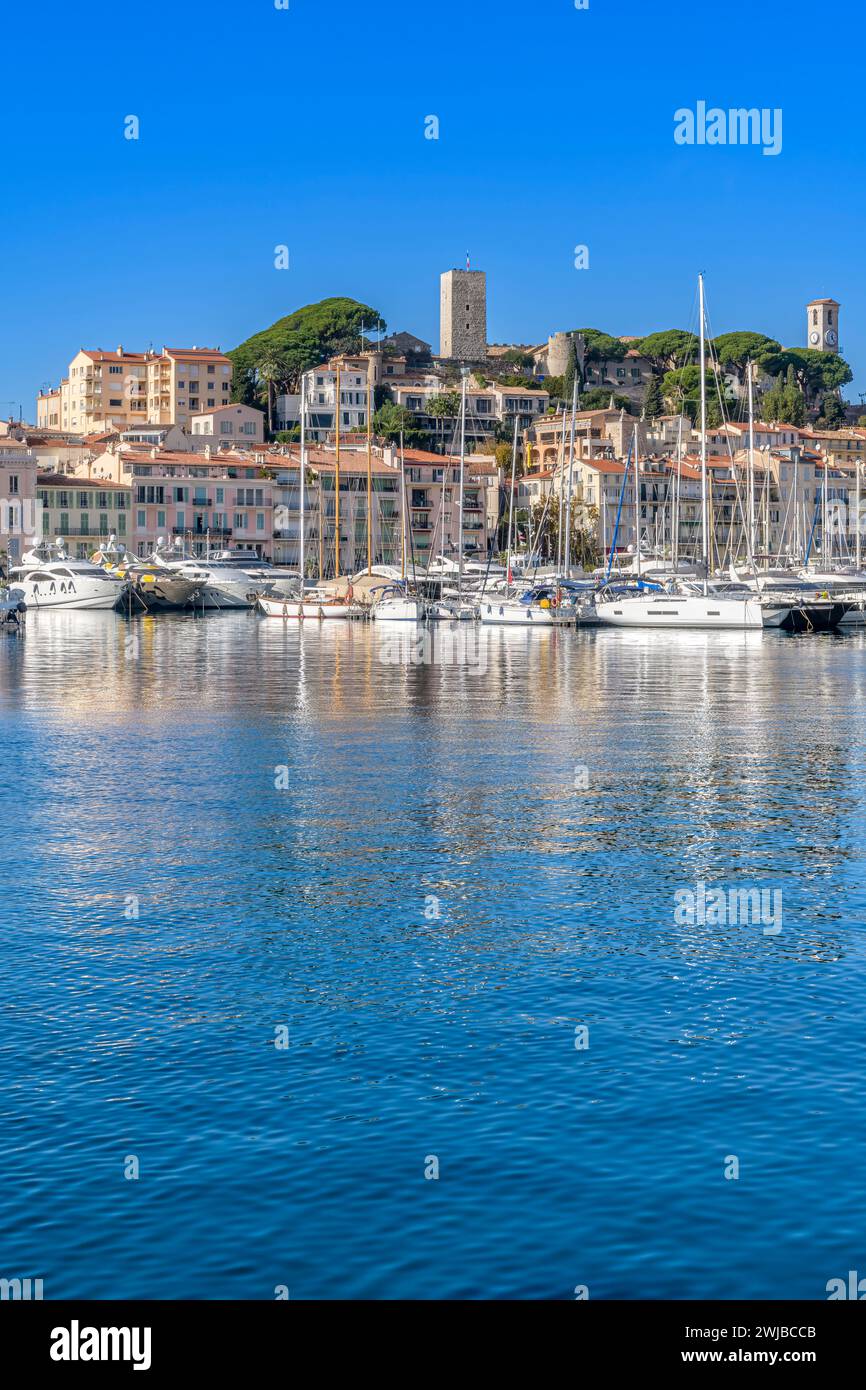 Beautiful IGY Vieux-Port de Cannes on the French Riviera, Côte d'Azur, France. Berthing for ...