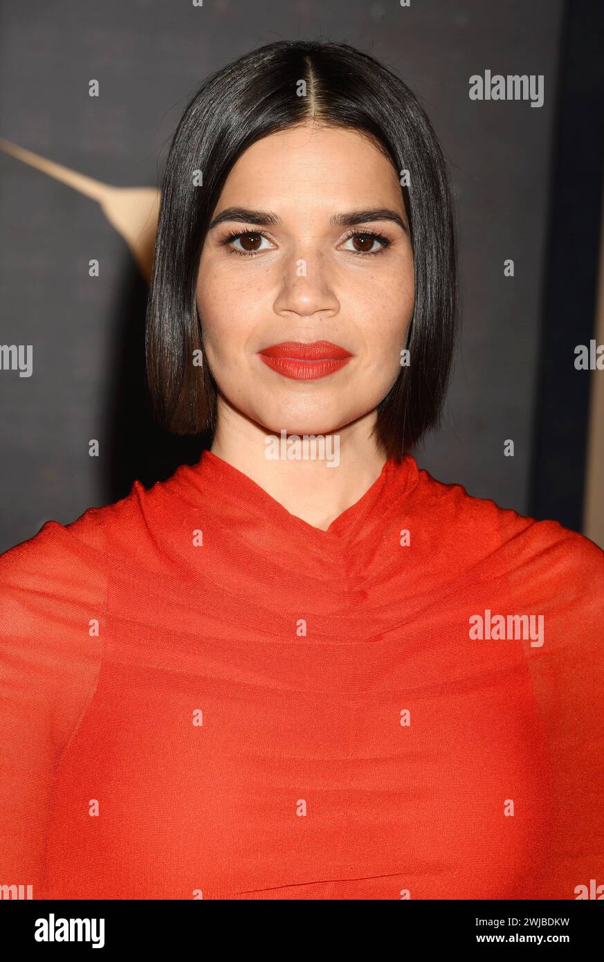 HOLLYWOOD, CALIFORNIA - FEBRUARY 13: America Ferrera attends Los Angeles Premiere Of Amazon MGM ...