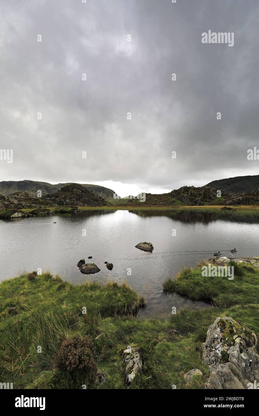 View over Innominate Tarn below Haystacks fell, Lake District National ...