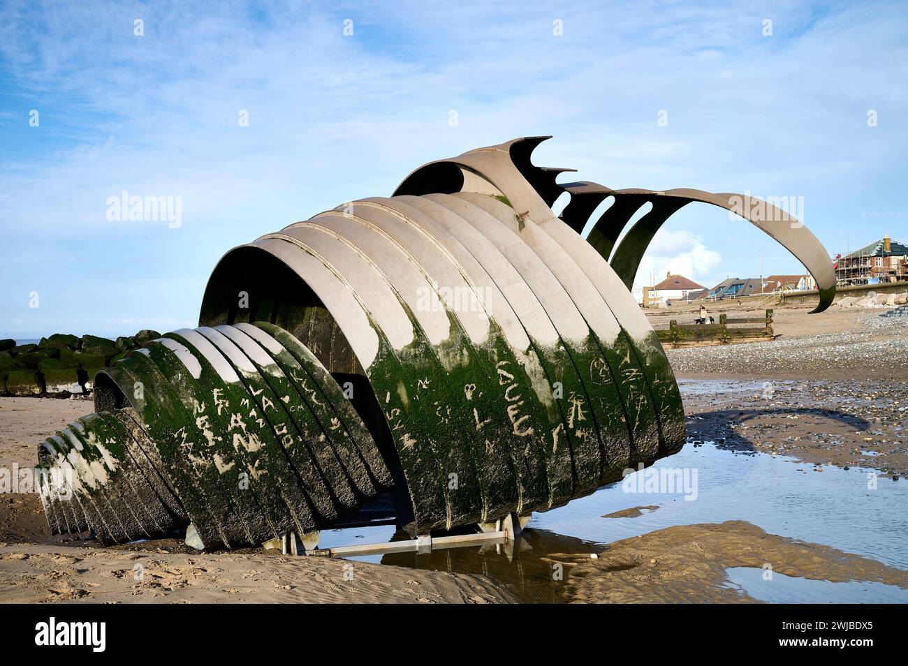 Names scrapped into the green algae on the Mary's Shell artwork on ...