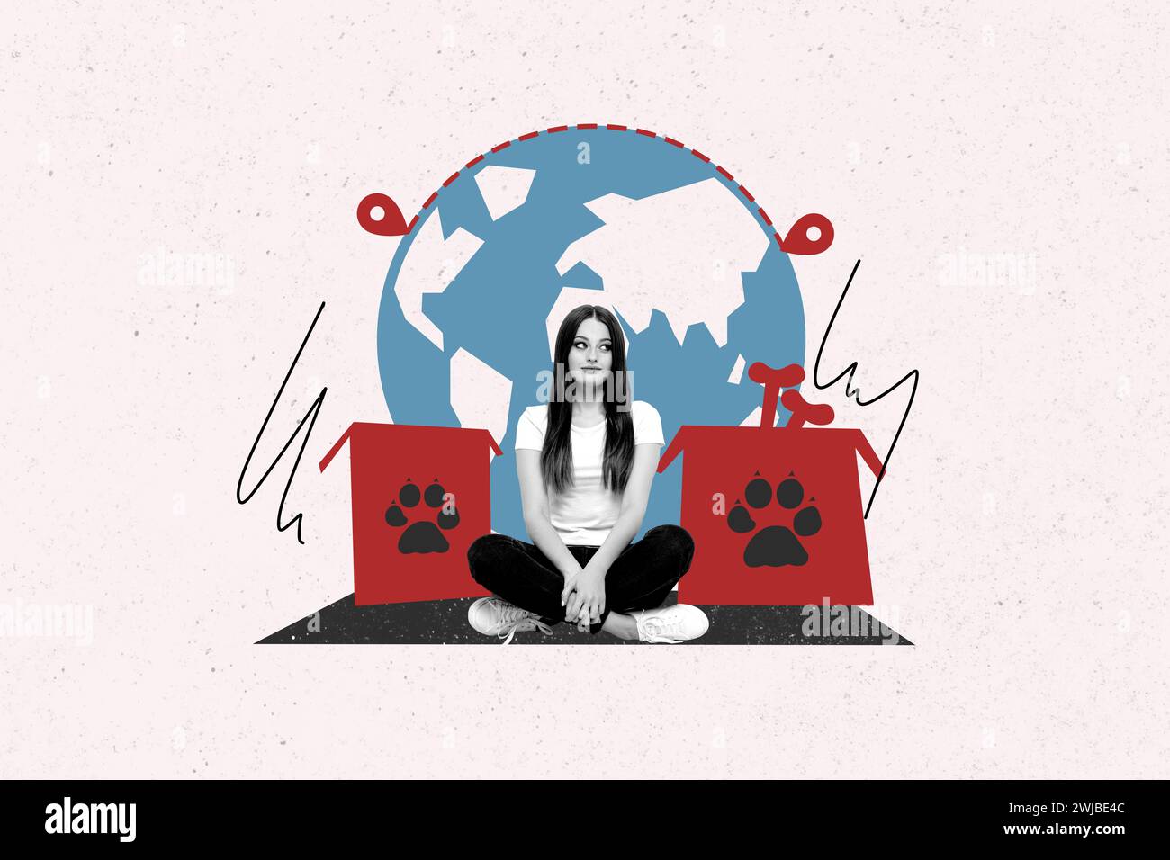 Collage artwork picture of smiling lady ordering pet air flight ...