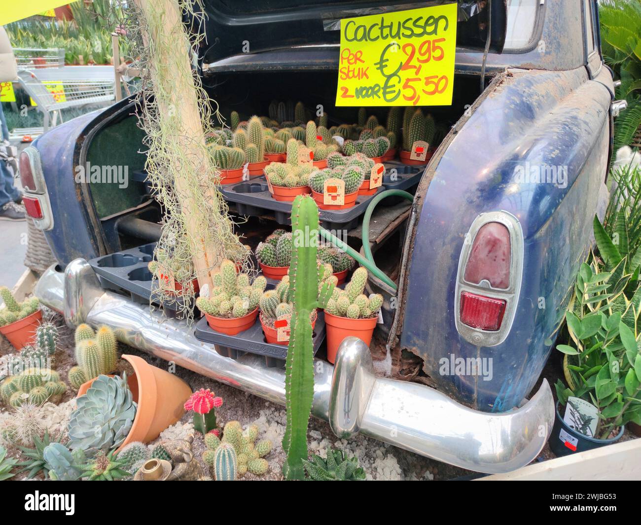 Tailgate car hi-res stock photography and images - Alamy