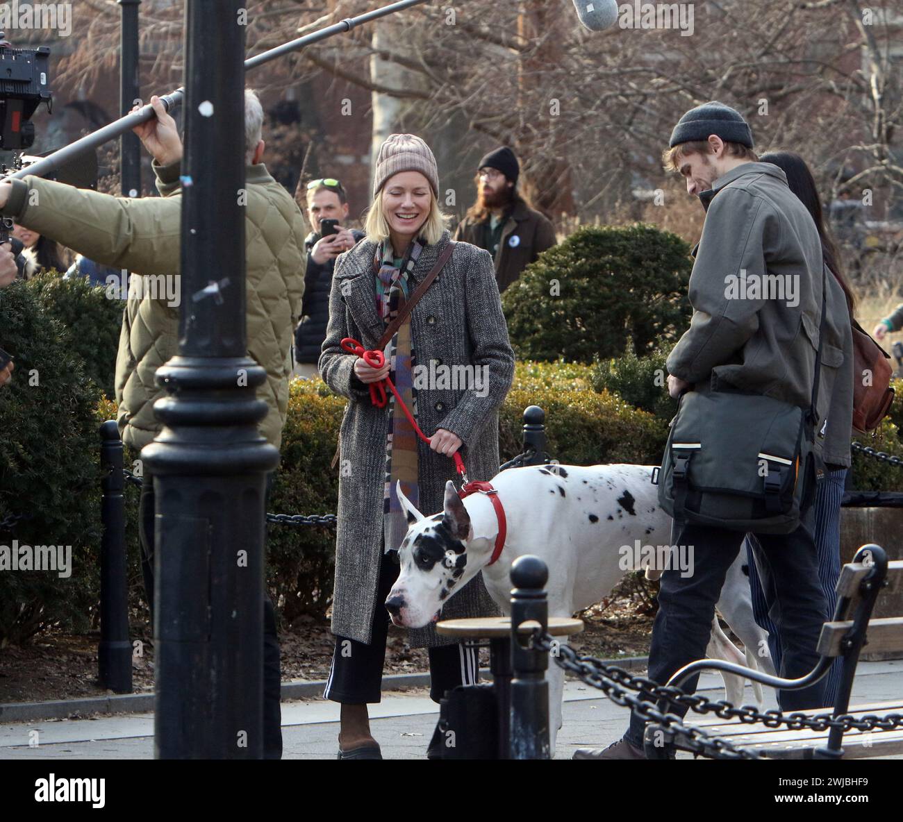 Naomi Watts and Bing Great Dane filming new movie 'The Friend' in ...