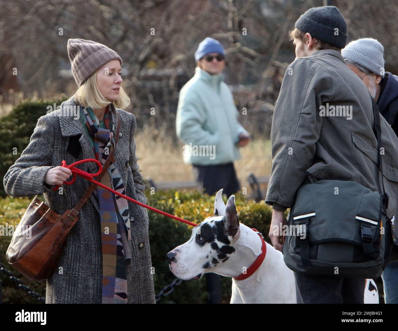 Naomi Watts and Bing Great Dane filming new movie 'The Friend' in ...