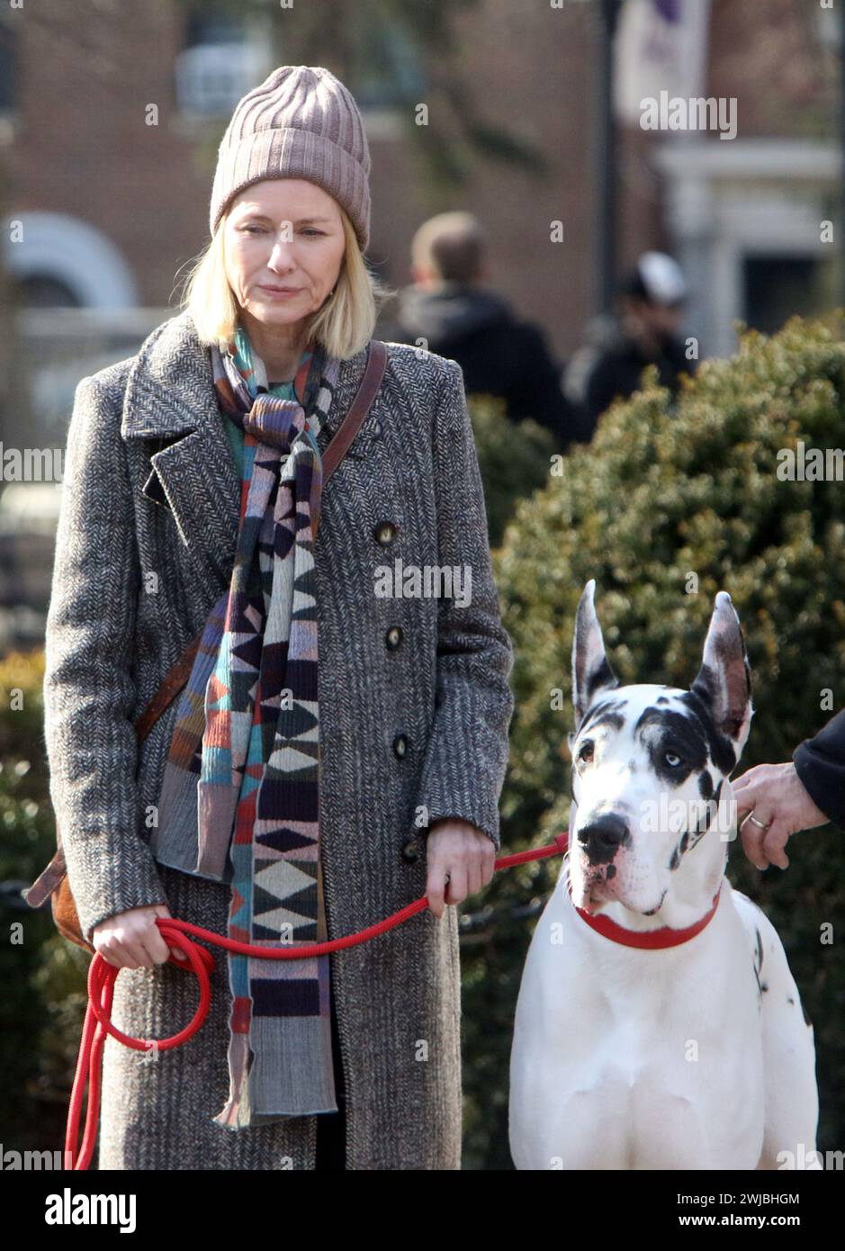 Naomi Watts and Bing Great Dane filming new movie 'The Friend' in ...