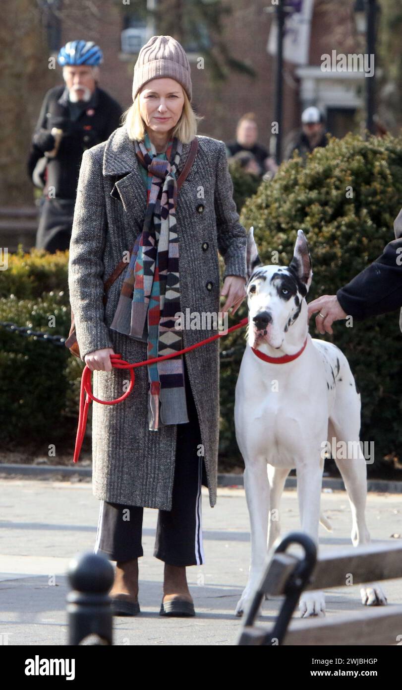 Naomi Watts and Bing Great Dane filming new movie 'The Friend' in ...