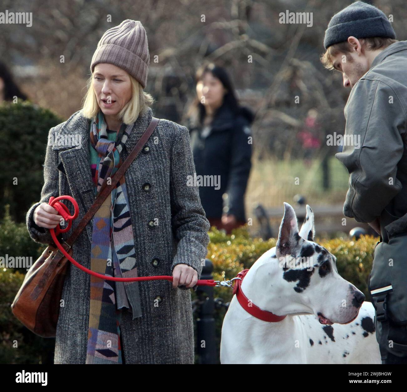 Naomi Watts and Bing Great Dane filming new movie 'The Friend' in ...