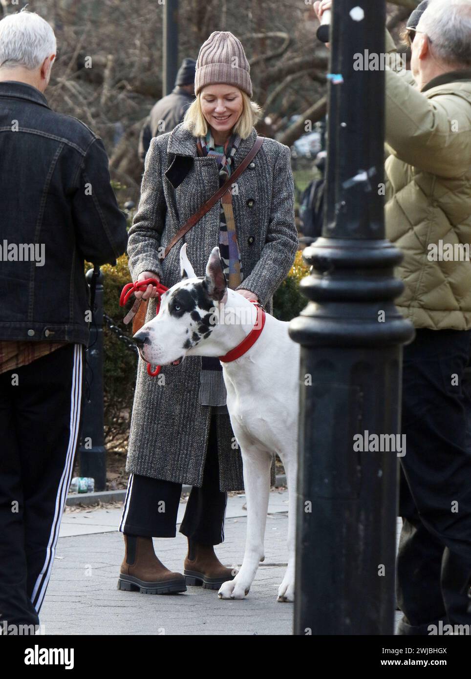 Naomi Watts and Bing Great Dane filming new movie 'The Friend' in ...