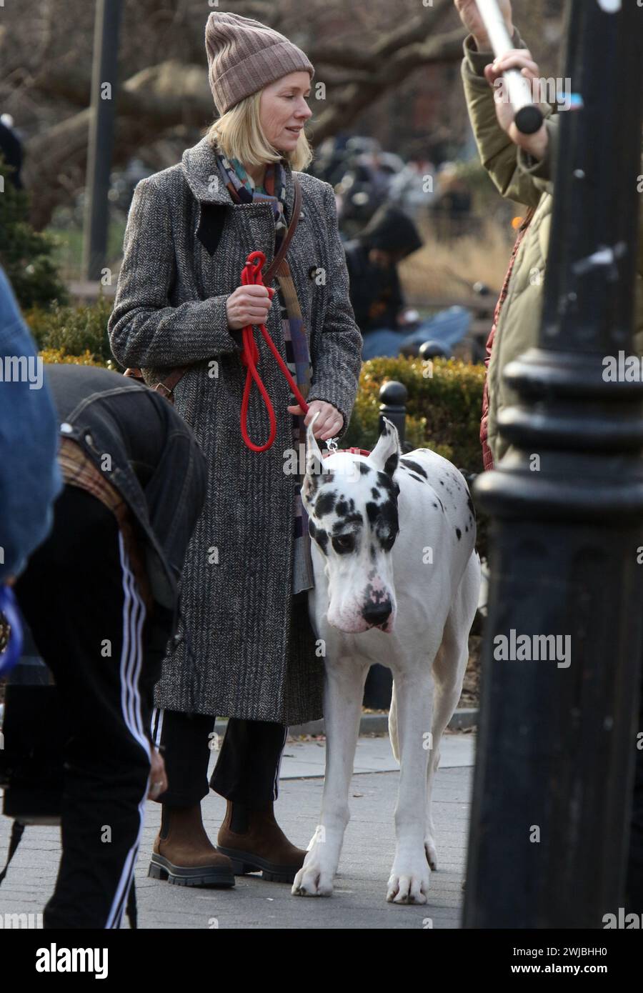 Naomi Watts and Bing Great Dane filming new movie 'The Friend' in ...