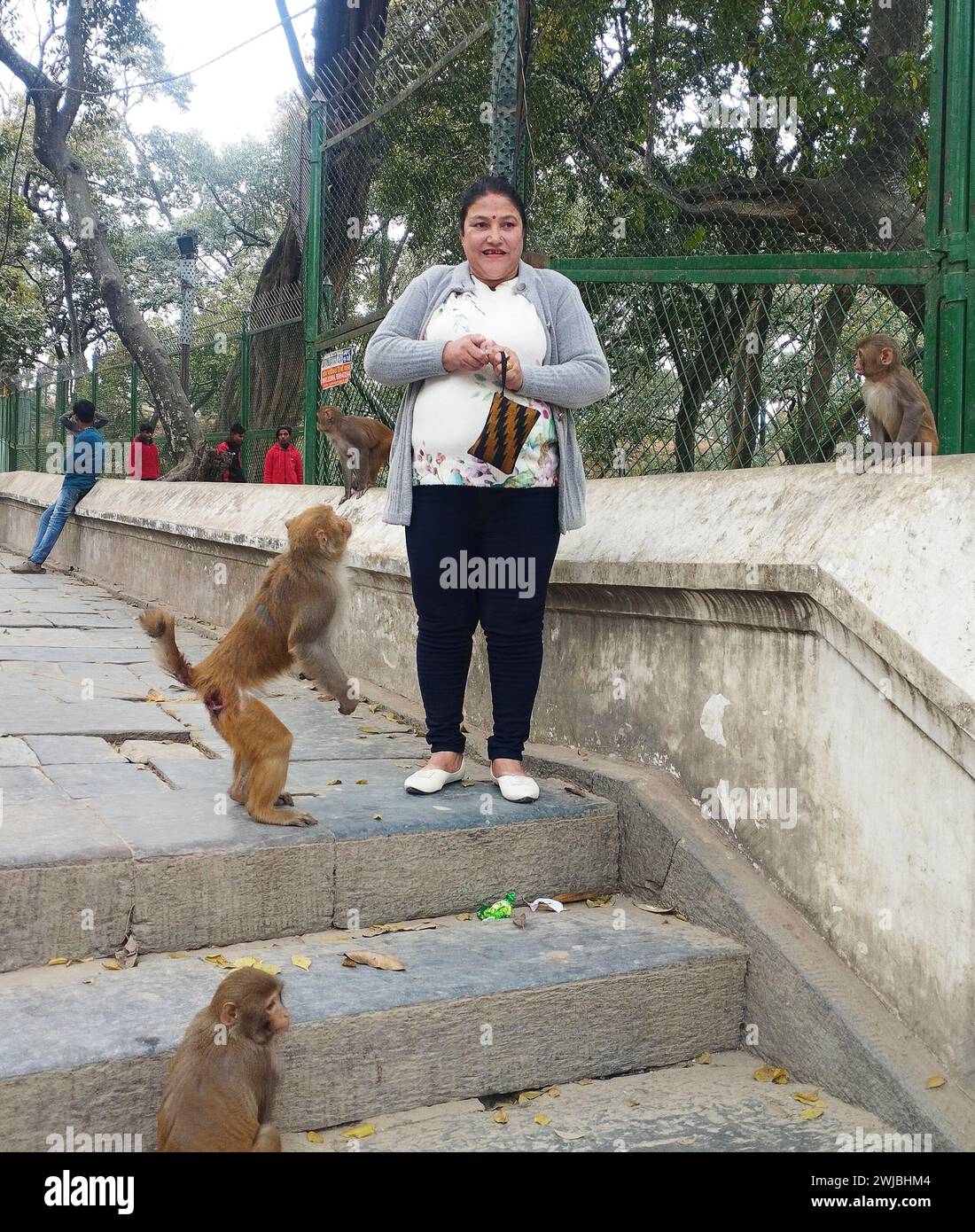 Kathmandu, Nepal. 14th Feb, 2024. A woman feeds chocolate to monkeys on ...