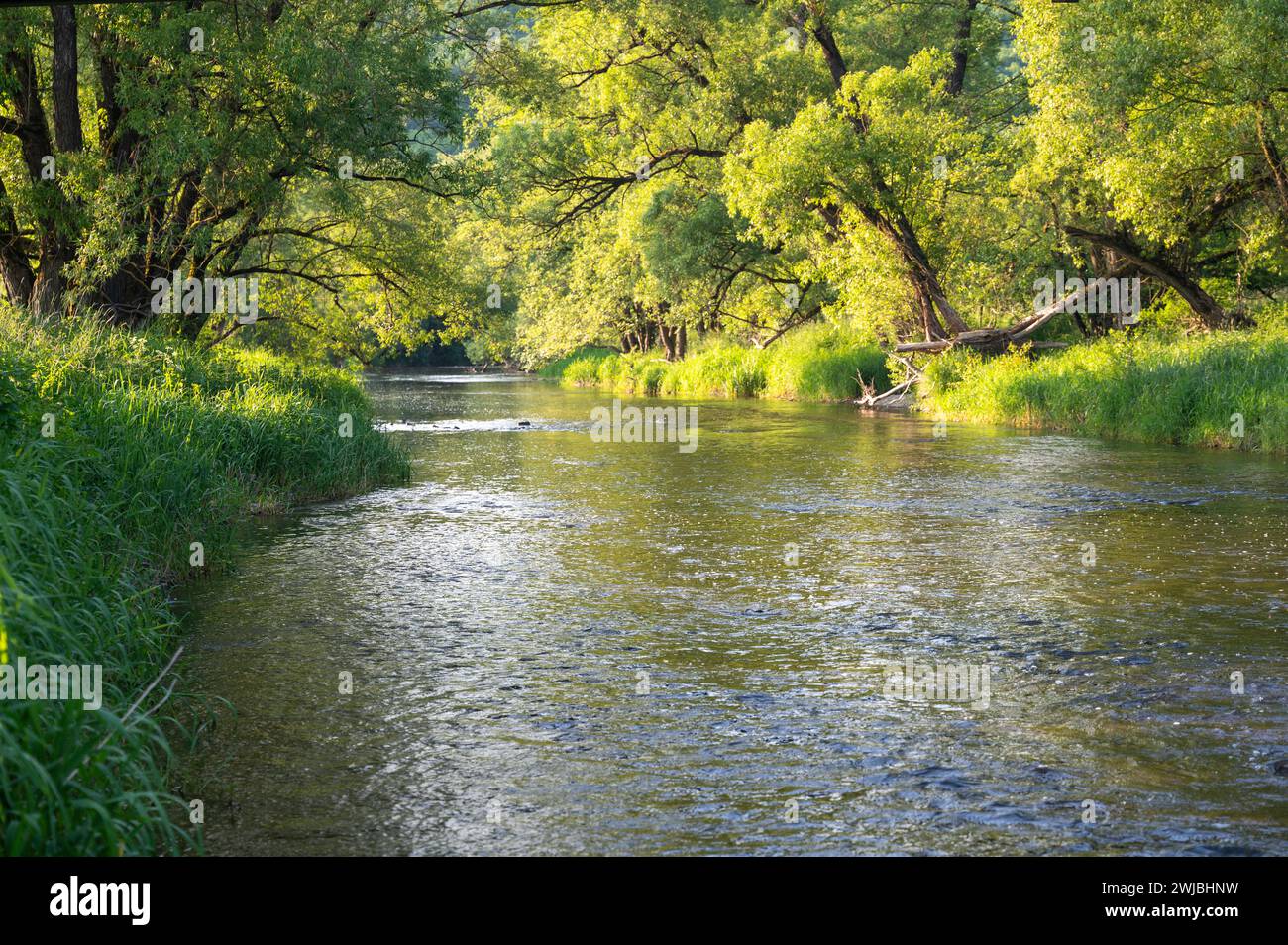 The Eder - A river in Germany in a green landscape Stock Photo - Alamy