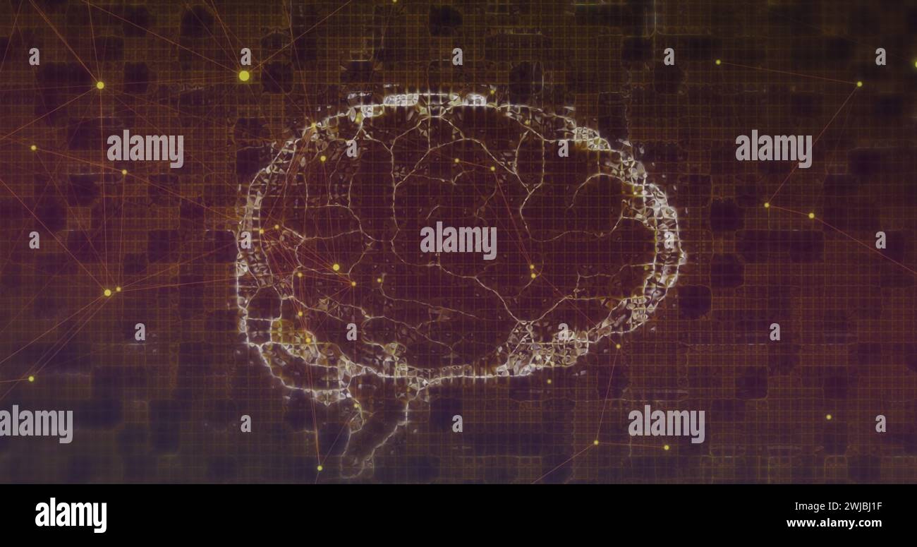 Digital image of network of connections over digital brain spinning ...