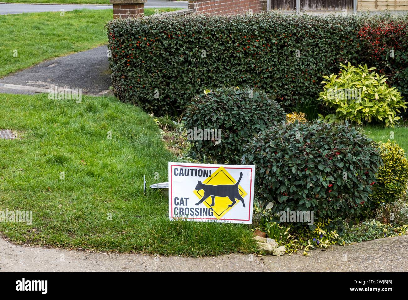 Caution cat crossing sign at end of driveway, Cherry Willingham ...