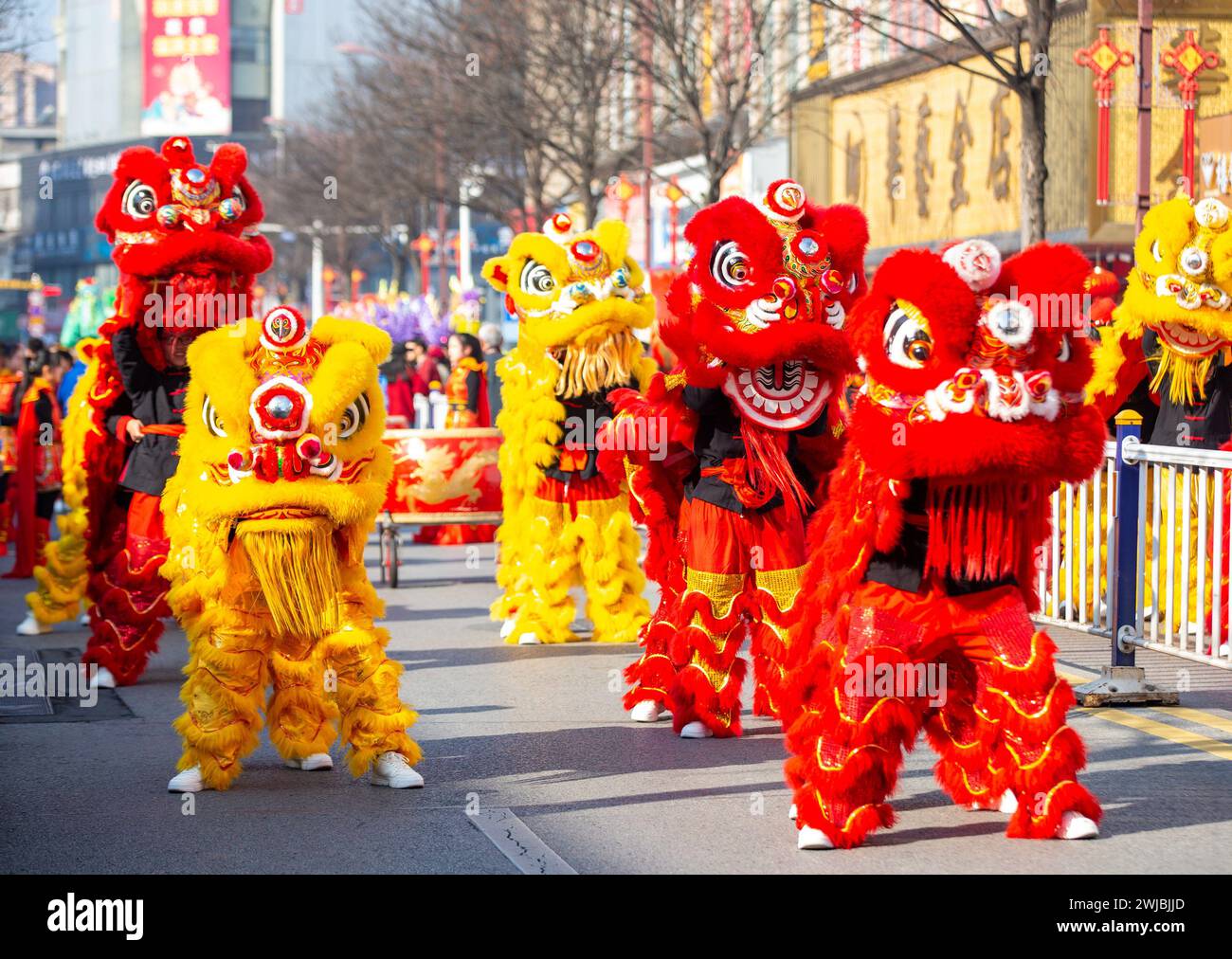 Haian, China. 14th Feb, 2024. Cultural volunteers are performing a lion ...