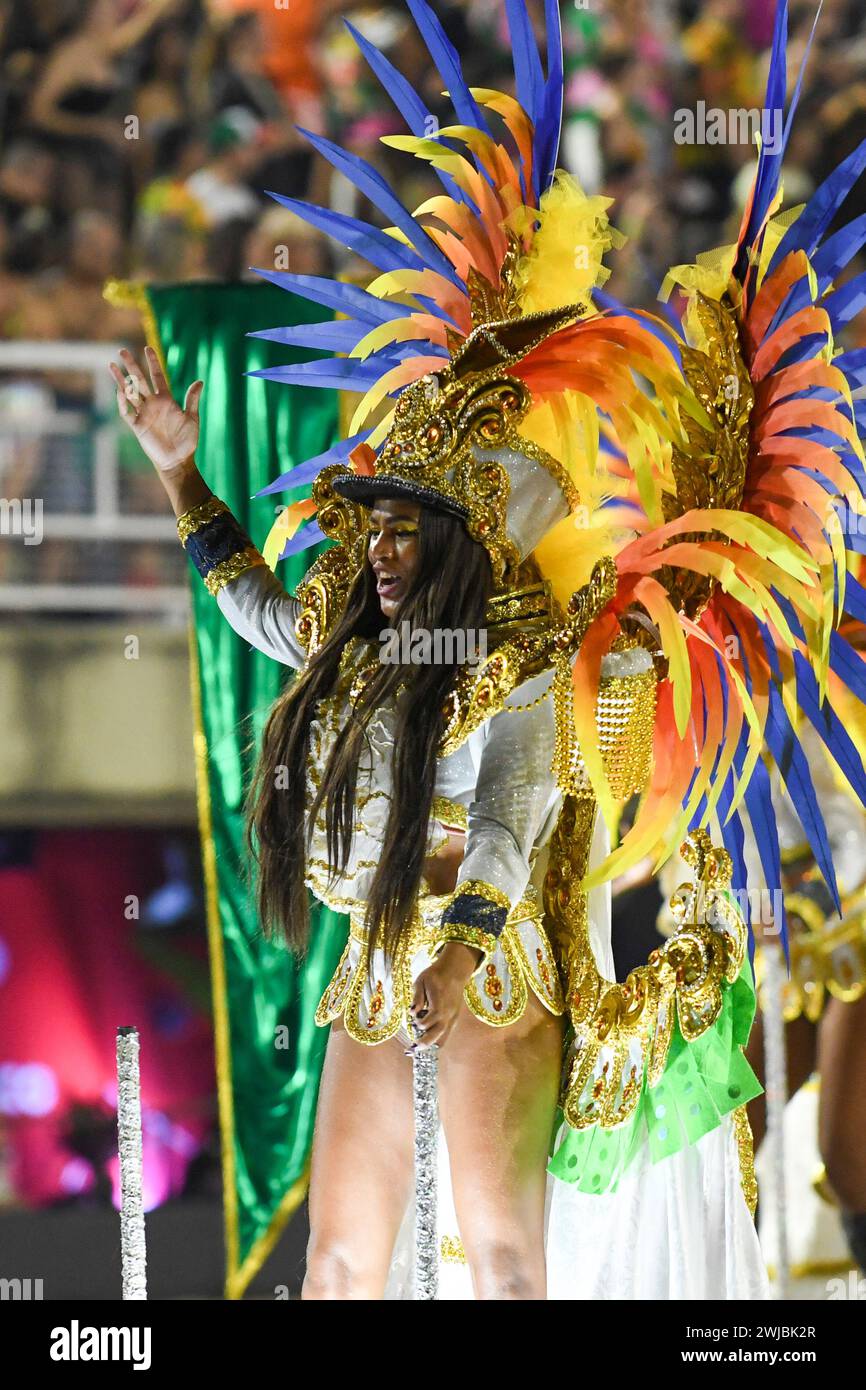 Rio, Brazil - february 12, 2024: Parades of the samba schools Paraiso ...