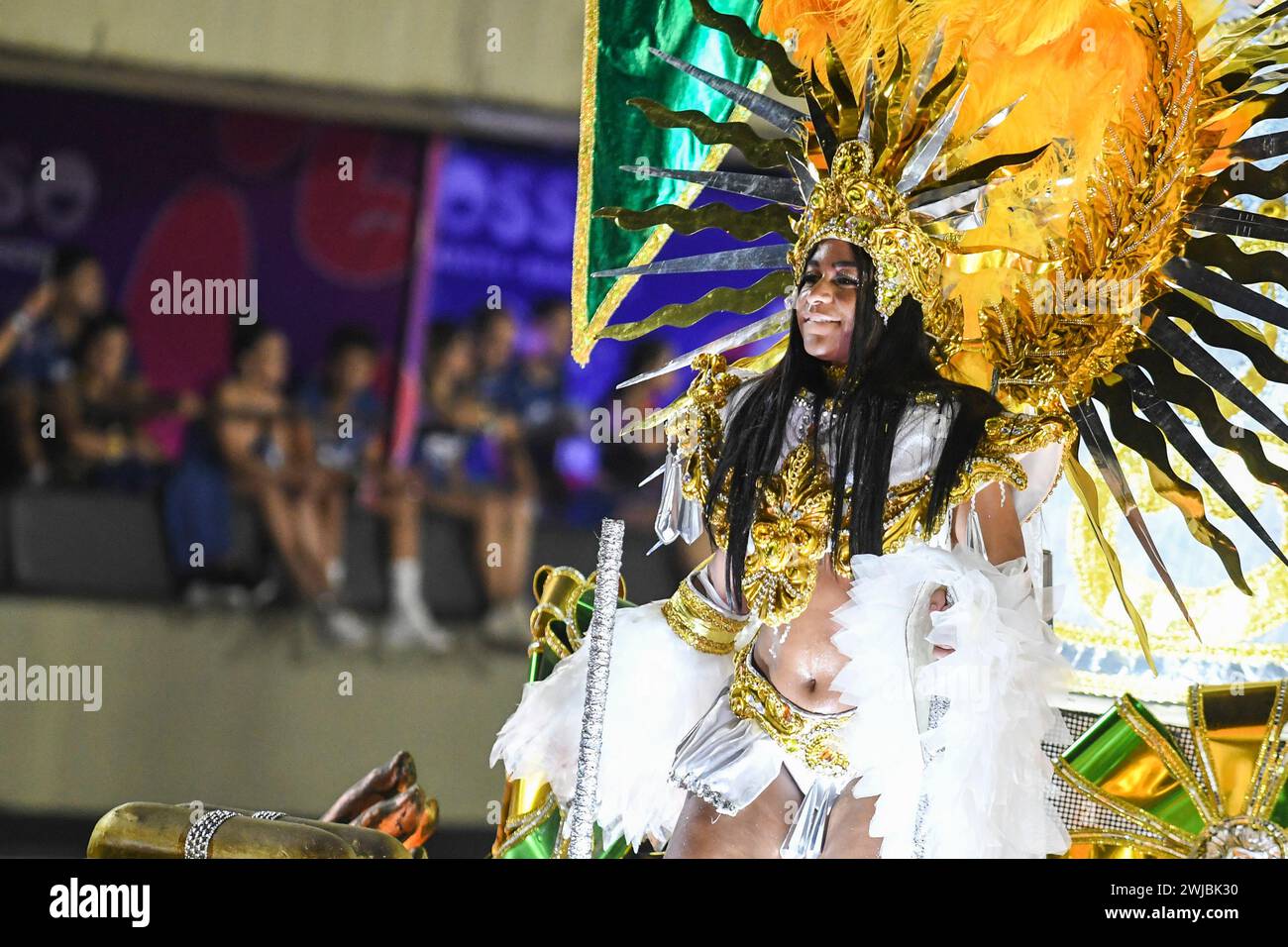 Rio, Brazil - february 12, 2024: Parades of the samba schools Paraiso ...
