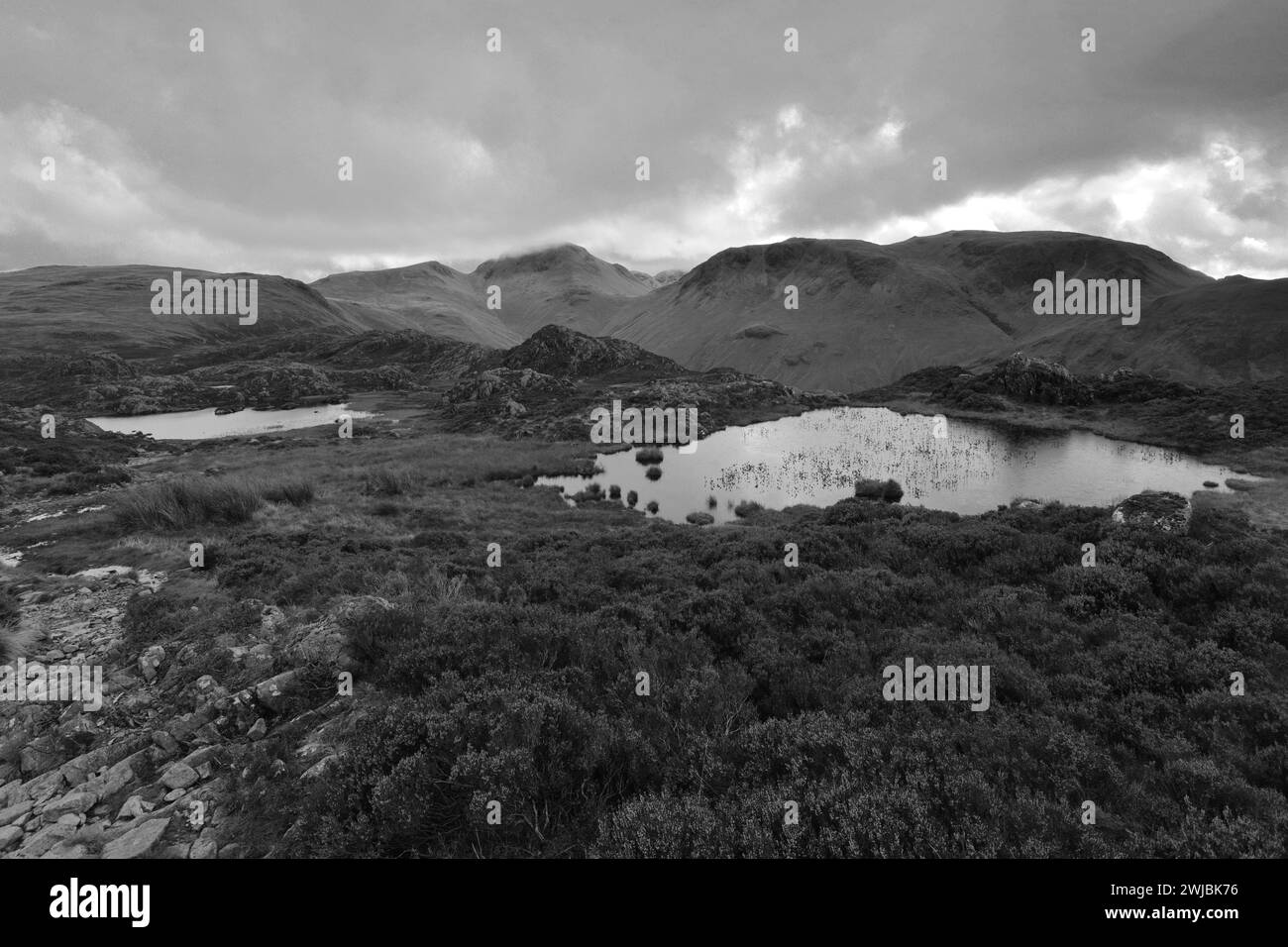 View over Innominate Tarn below Haystacks fell, Lake District National ...