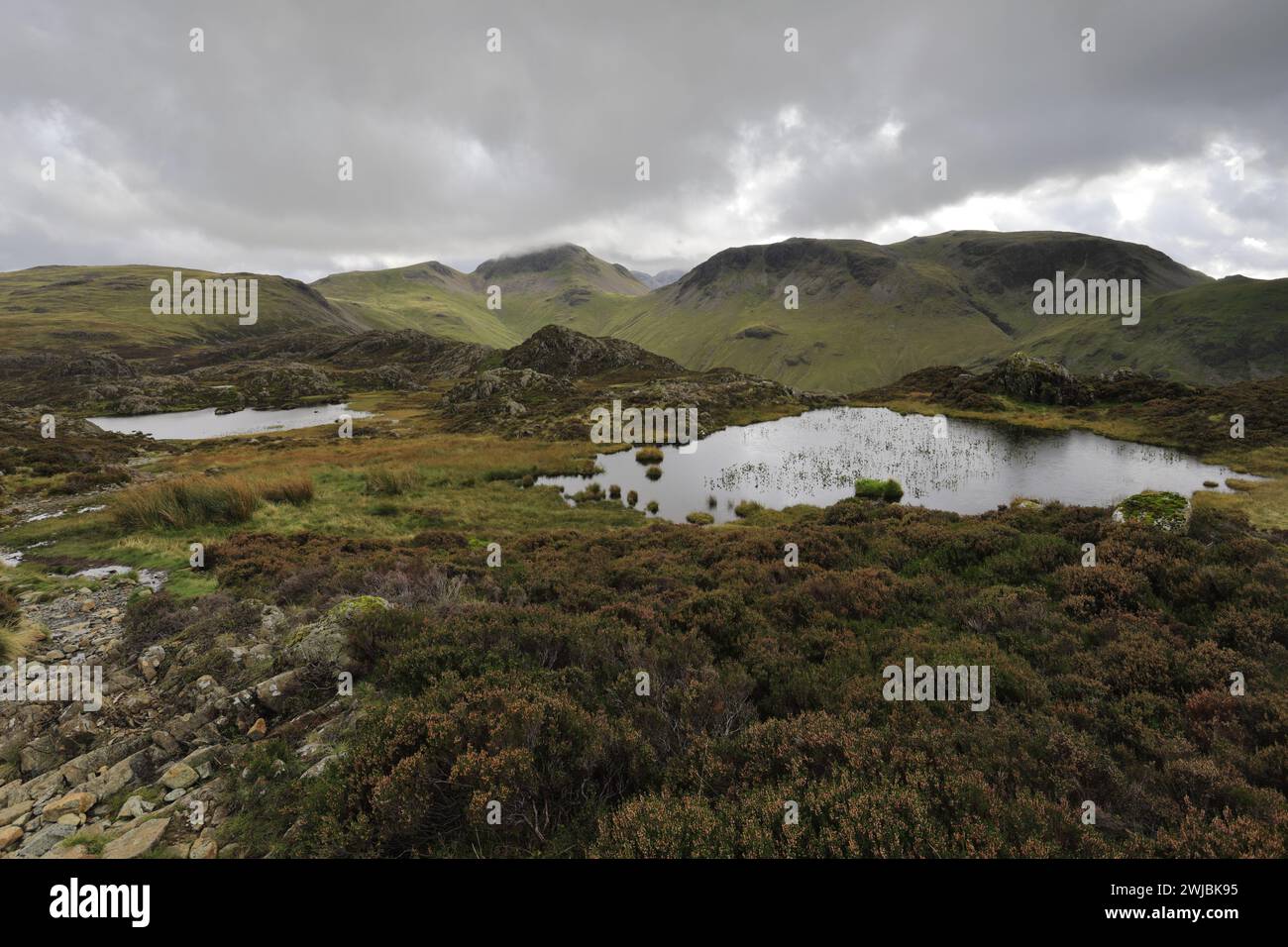 View over Innominate Tarn below Haystacks fell, Lake District National ...