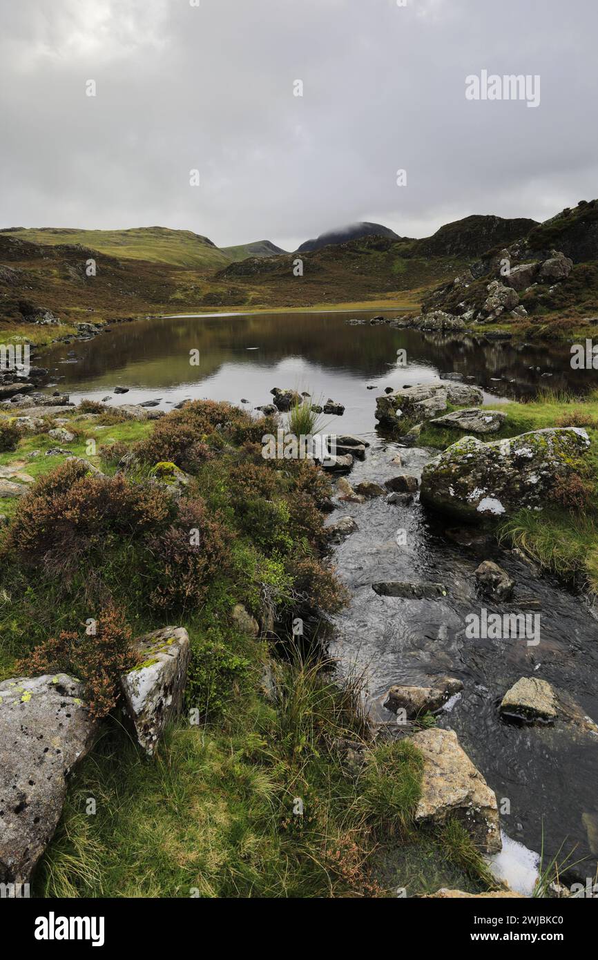 View over Blackbeck Tarn below Haystacks fell, Lake District National ...
