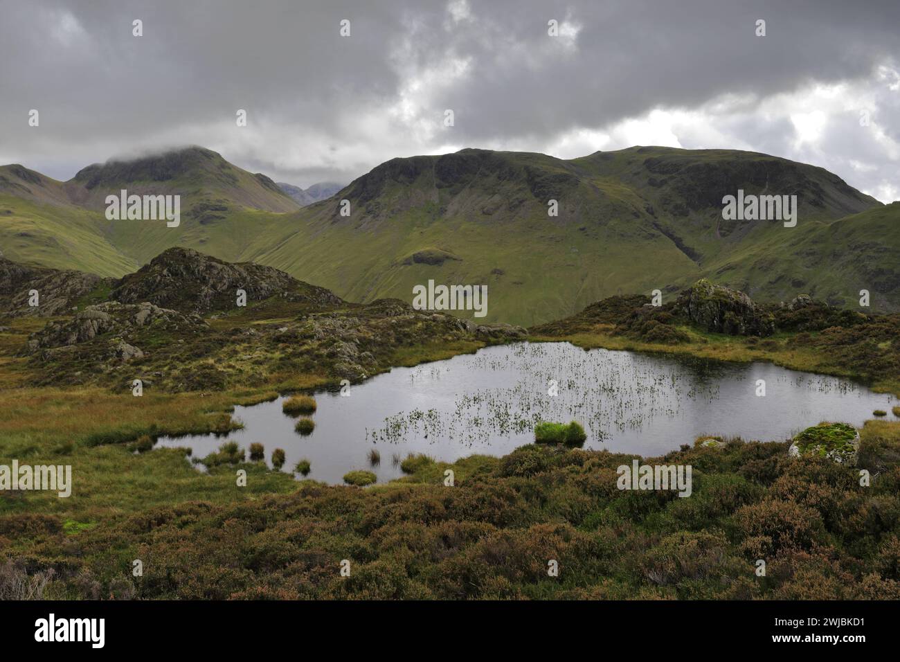 View over Innominate Tarn below Haystacks fell, Lake District National ...