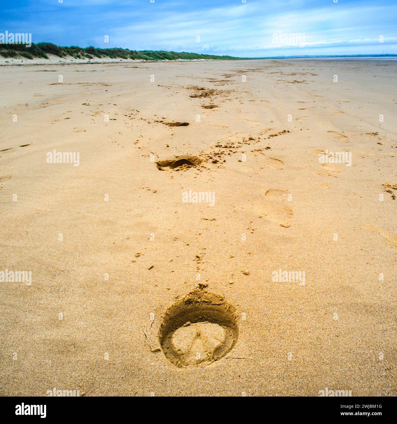 Horse hoof marks in the sand on Saltburn beach, Saltburn by the sea ...