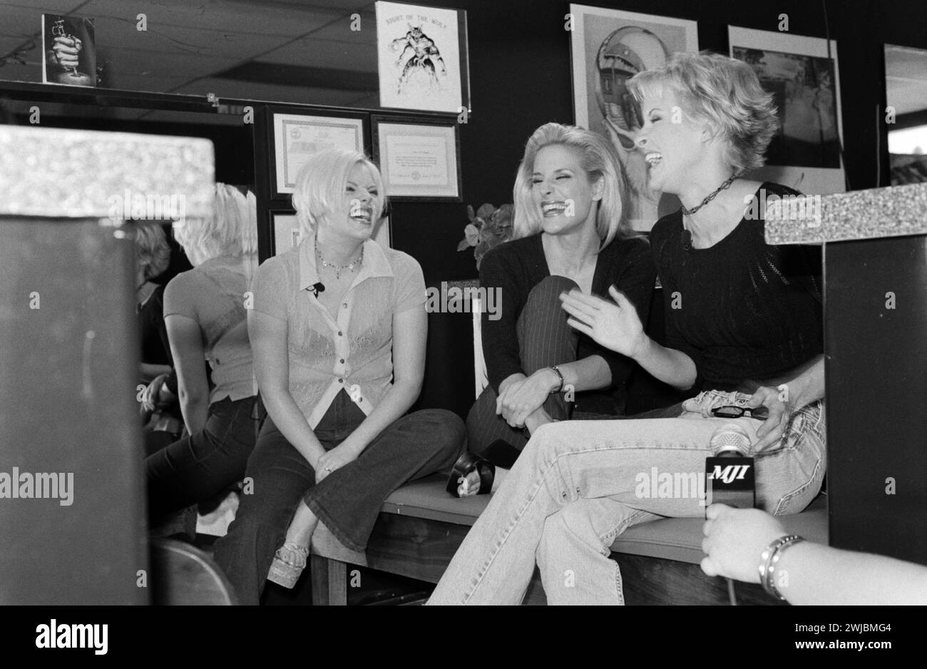 Dixie chicks Black and White Stock Photos & Images - Alamy