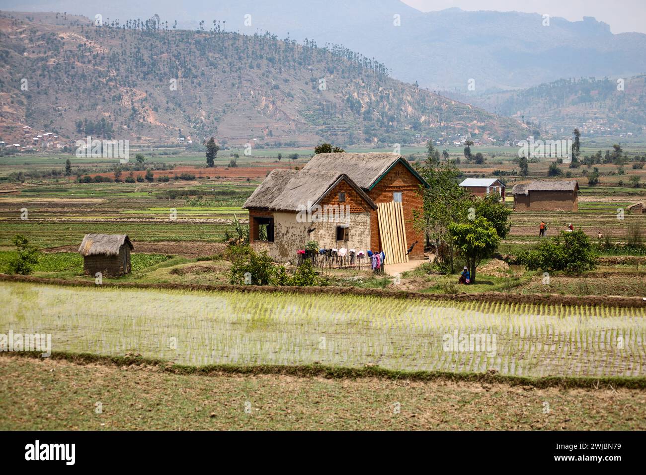 Malagasy fields hi-res stock photography and images - Alamy