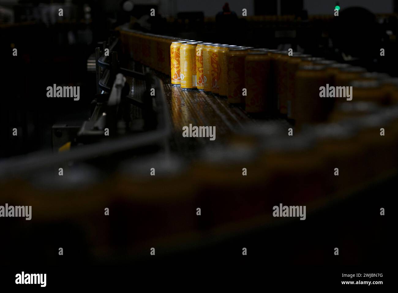 Cans of Tree House Brewing Company's New England IPA Julius on the ...