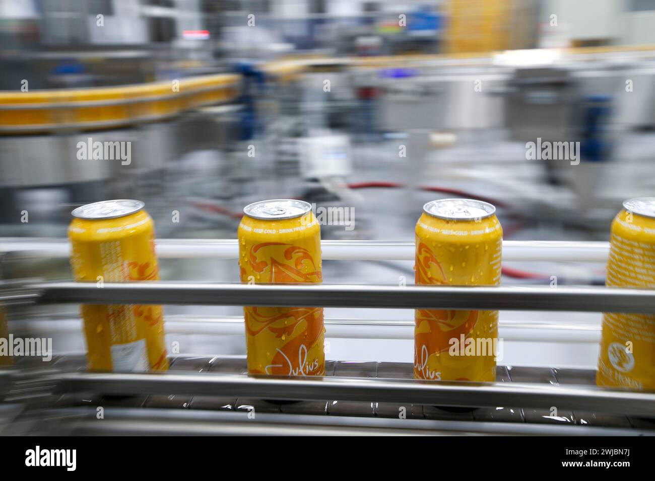 Cans of Tree House Brewing Company's New England IPA Julius on the ...