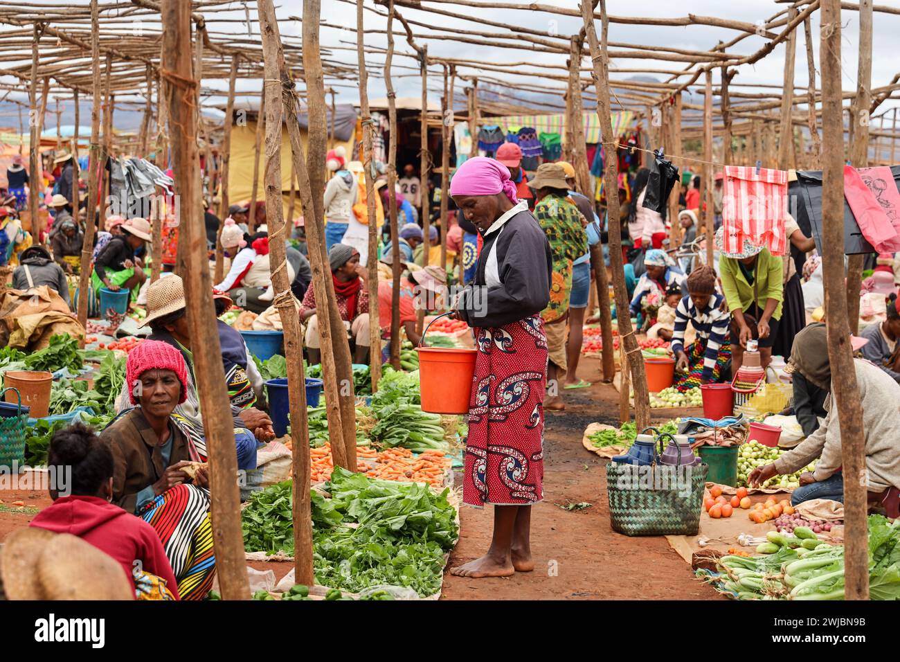 Malagasy fruits hi-res stock photography and images - Alamy