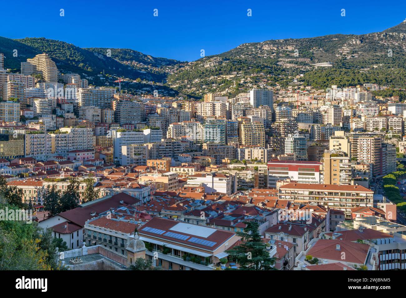Monte Carlo in Monaco. Tightly packed luxury villas and apartments for ...