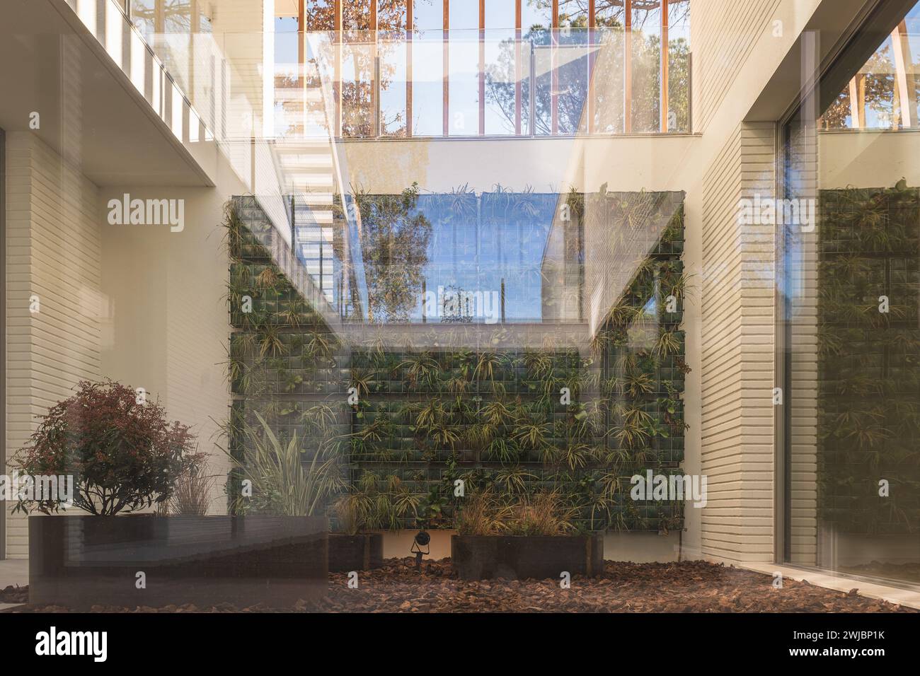 Central view of an interior garden hanging behind a glass wall on the ...