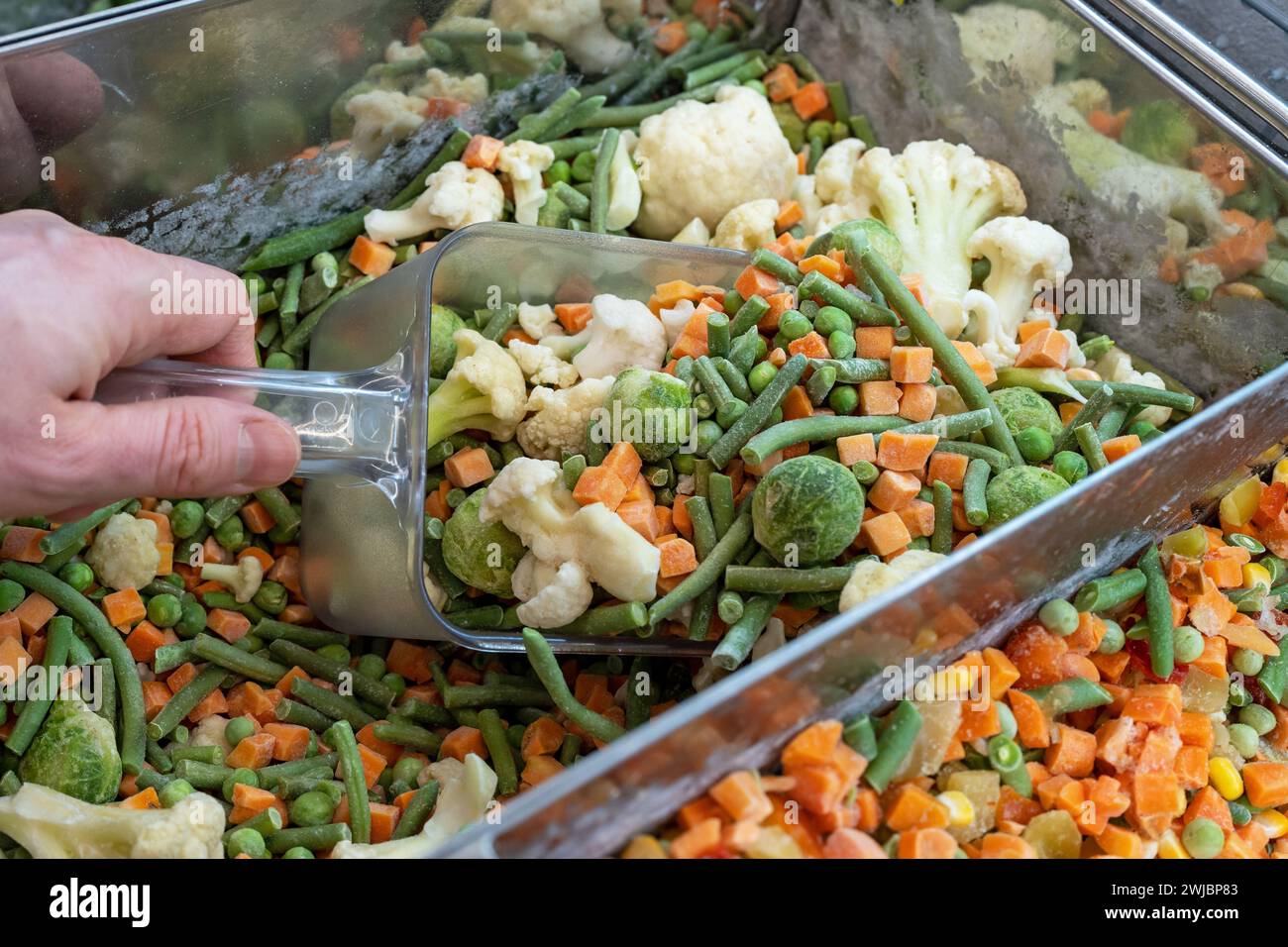 Frozen vegetable mix. Selling frozen vegetables in the fridge of a ...