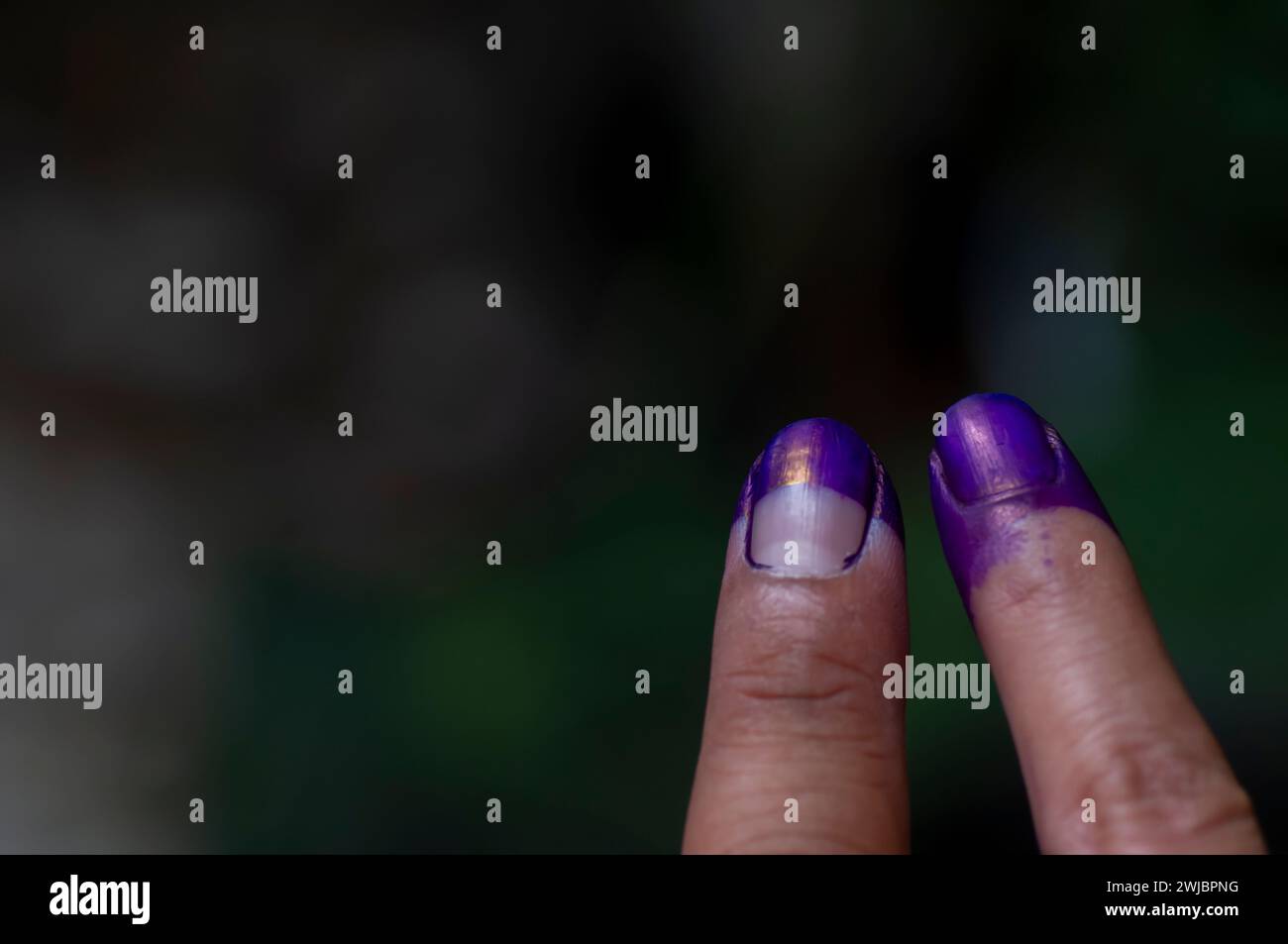 Ink finger voting hi-res stock photography and images - Alamy