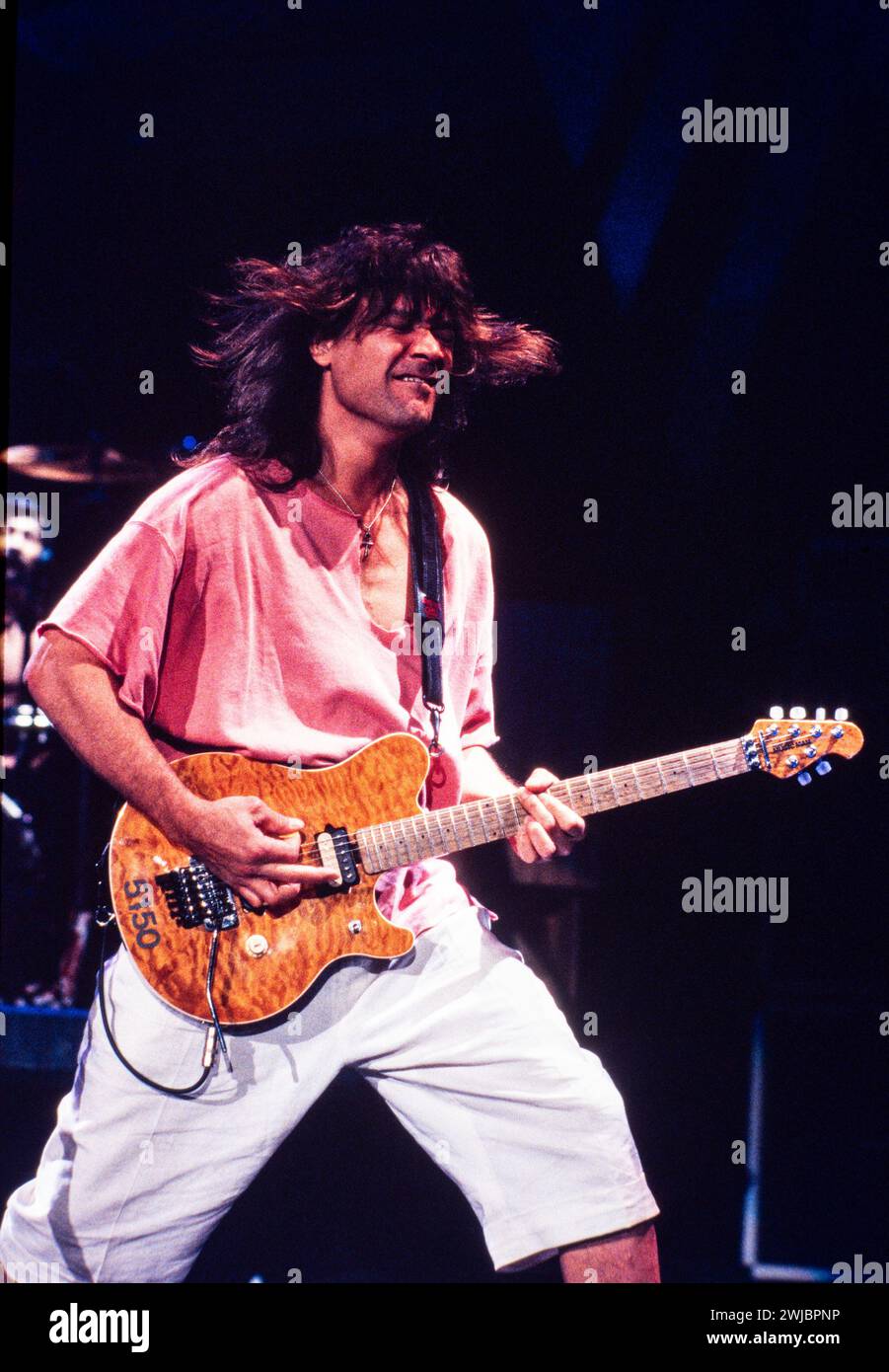 Eddie Van Halen performing in 1995 Credit: Ross Pelton/MediaPunch Stock ...