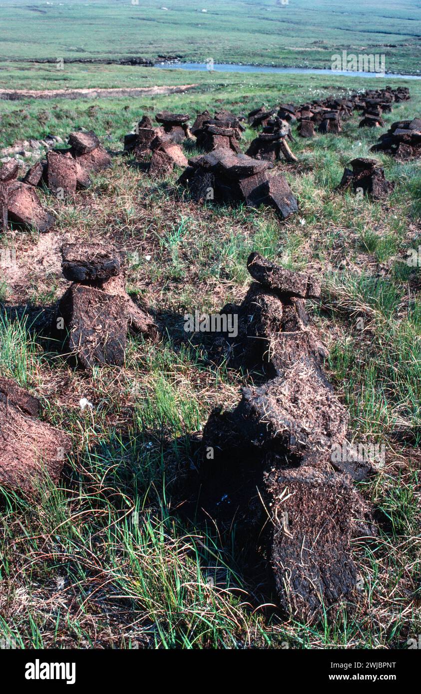 Peat cut and stacked to dry in the summer Sutherland Scotland Stock ...