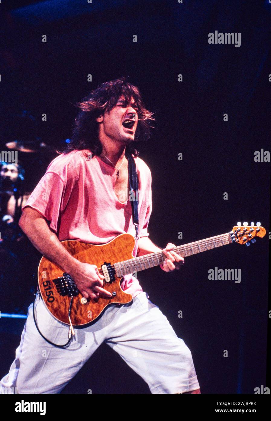 Eddie Van Halen performing in 1995 Credit: Ross Pelton/MediaPunch Stock ...