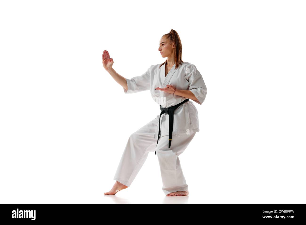 Master black belt Tae Kwon Do teacher in uniform standing in position ...