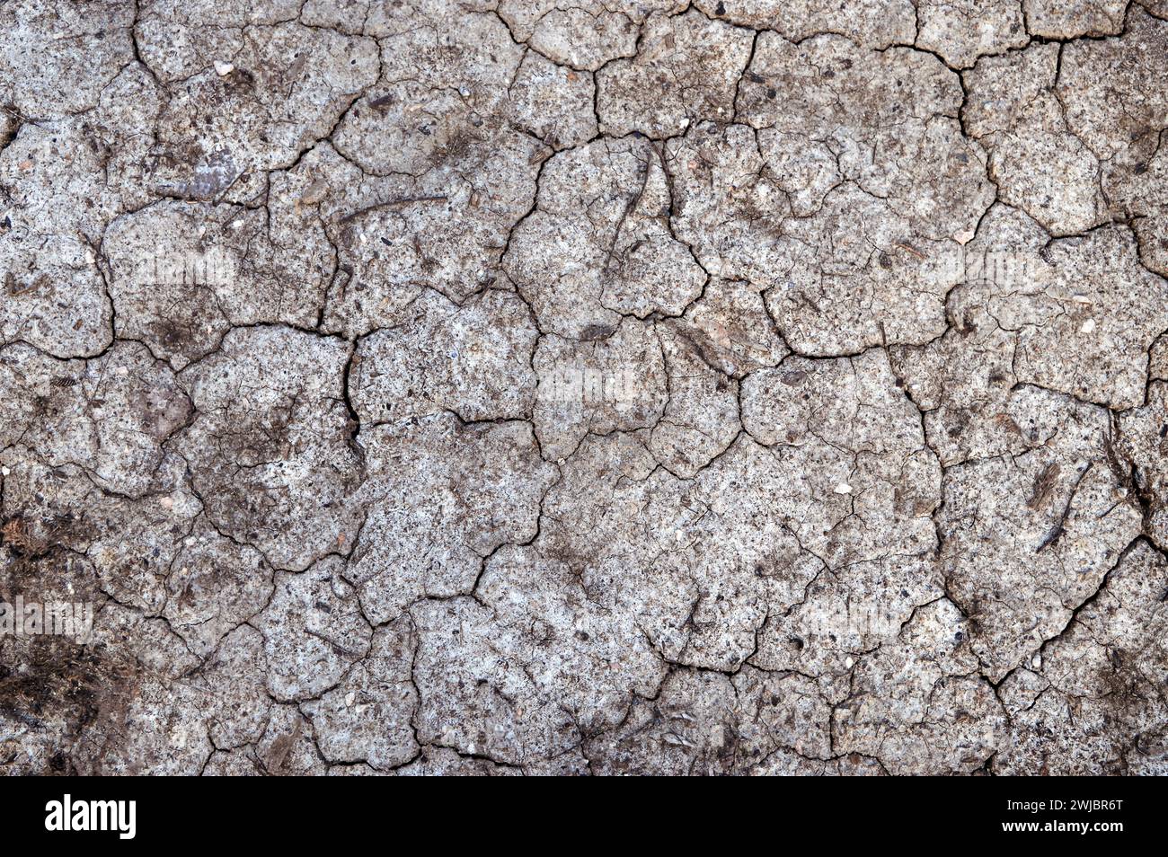 Drought, climate change, global changes in nature. Cataclysms. Hunger ...