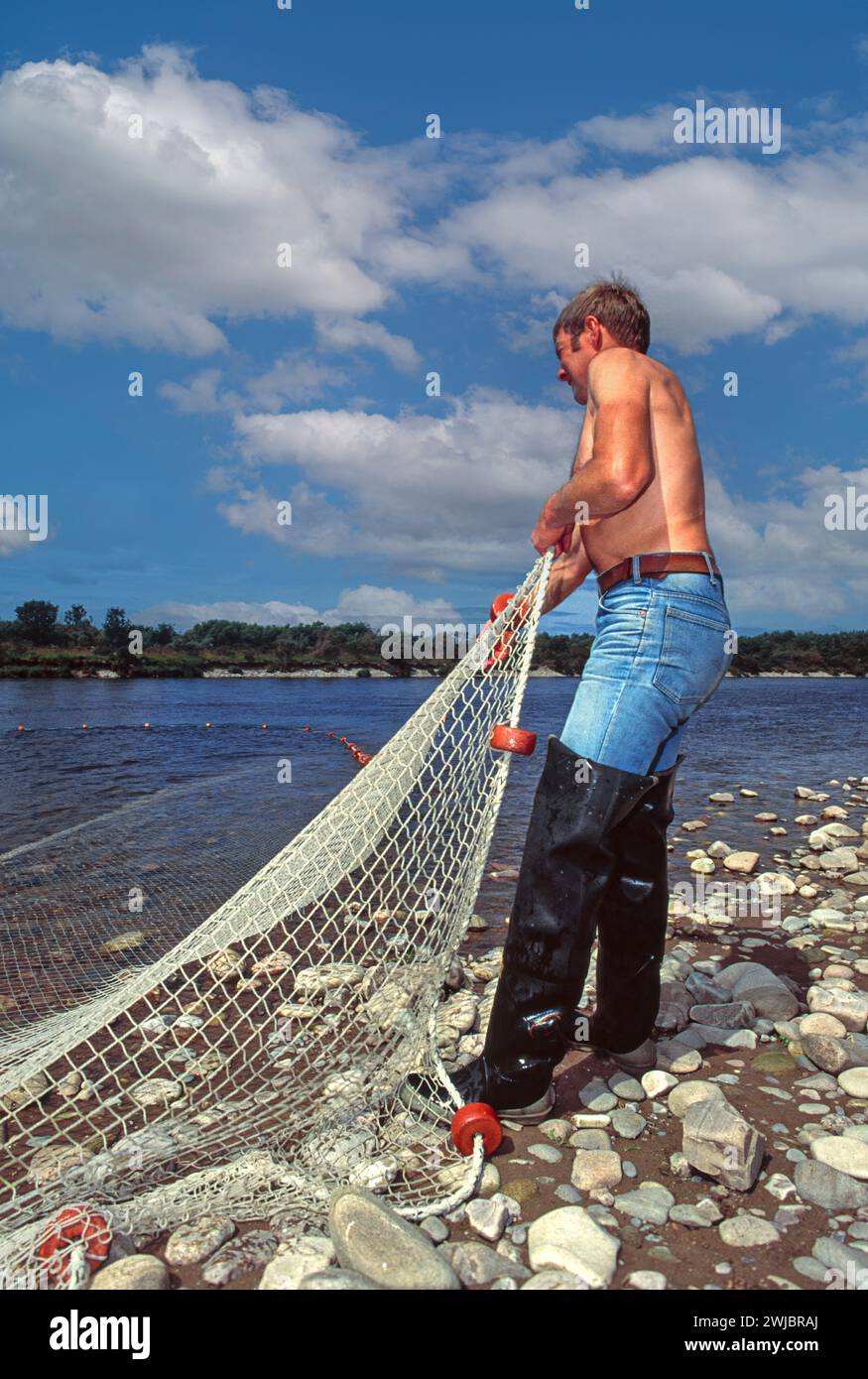 Salmon netting on the River Spey near Tugnet a lone fisherman hauling ...