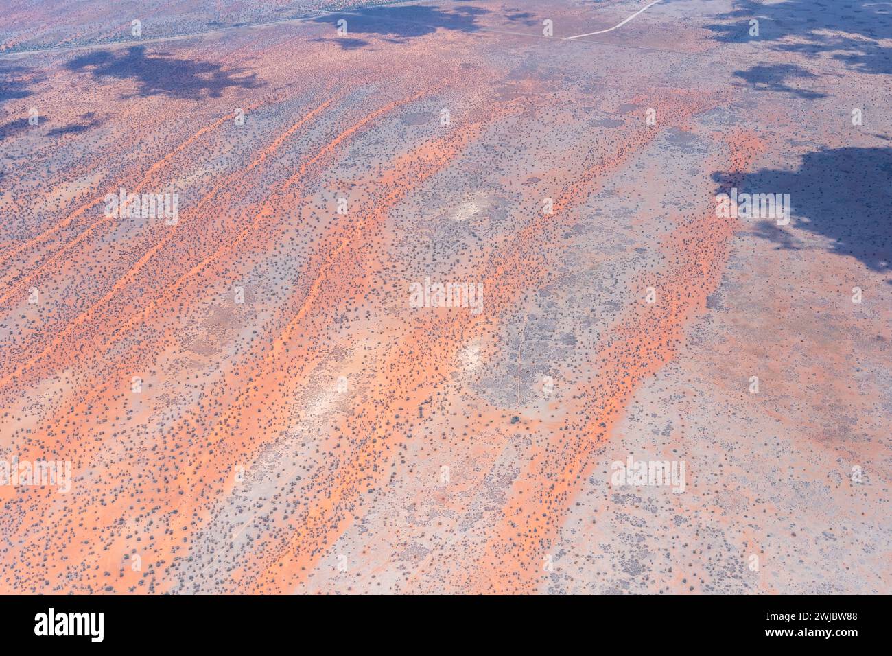 aerial landscape with red dune stripes in Kalahari desert, shot from a ...