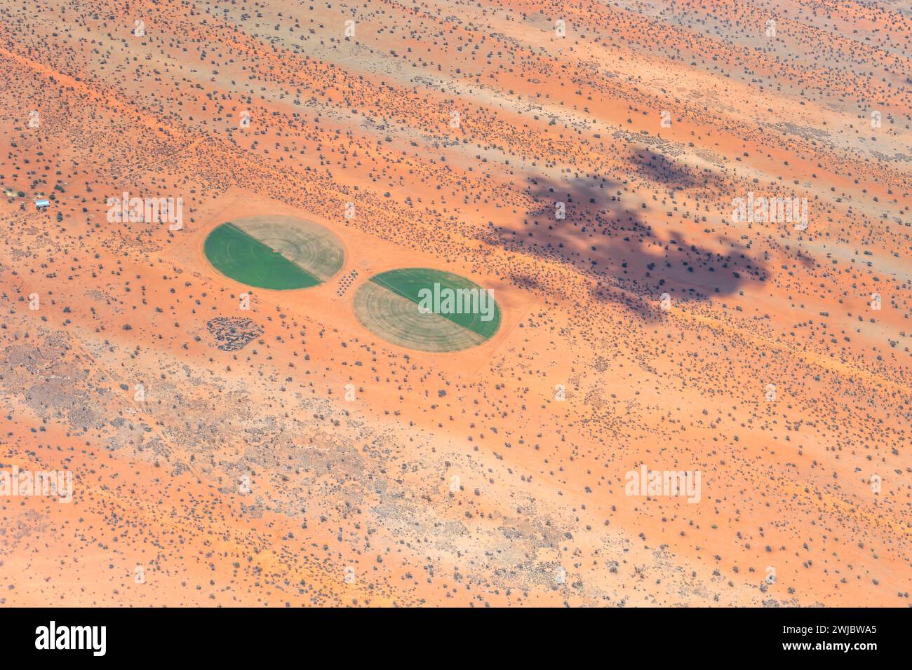 aerial landscape with circular fields cultivation and red dune stripes ...
