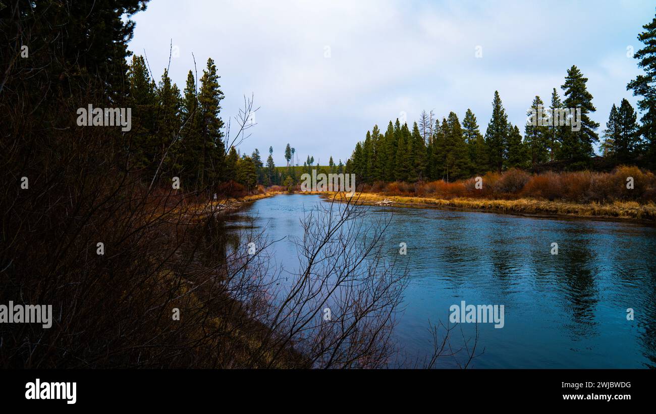 An outdoor stream in the woods captured on a cloudy day Stock Photo - Alamy