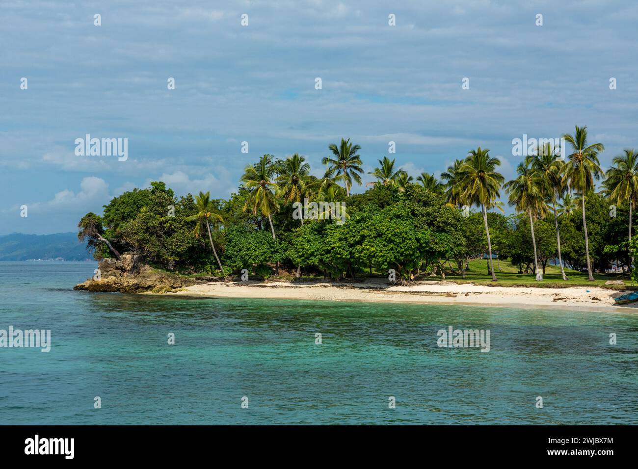Palm trees on Cayo Levantado, a resort island in the Bay of Samana in ...