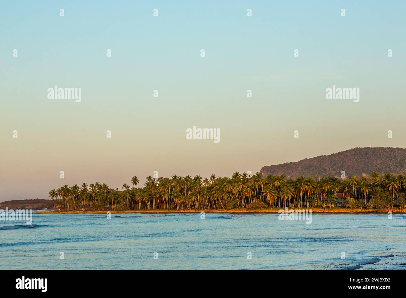 Coconut palm trees line the shore at Bahia de Las Galeras on the Samana ...